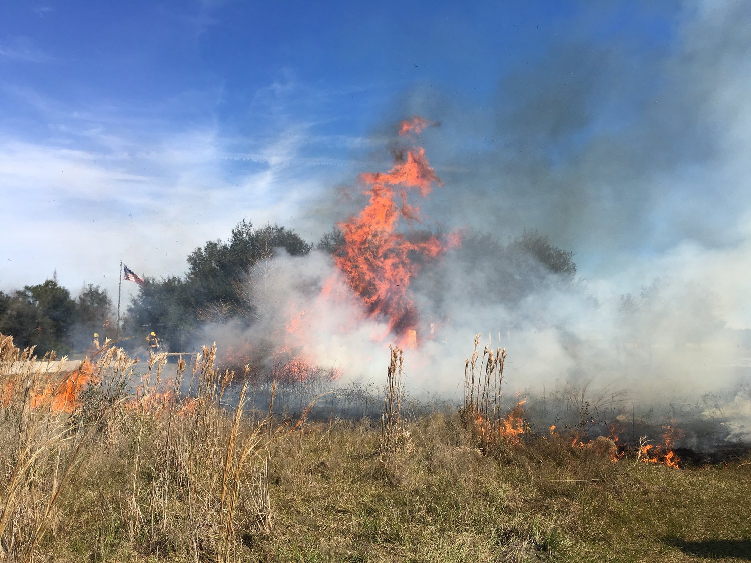 Prescribed Burns in Florida's Ecosystem