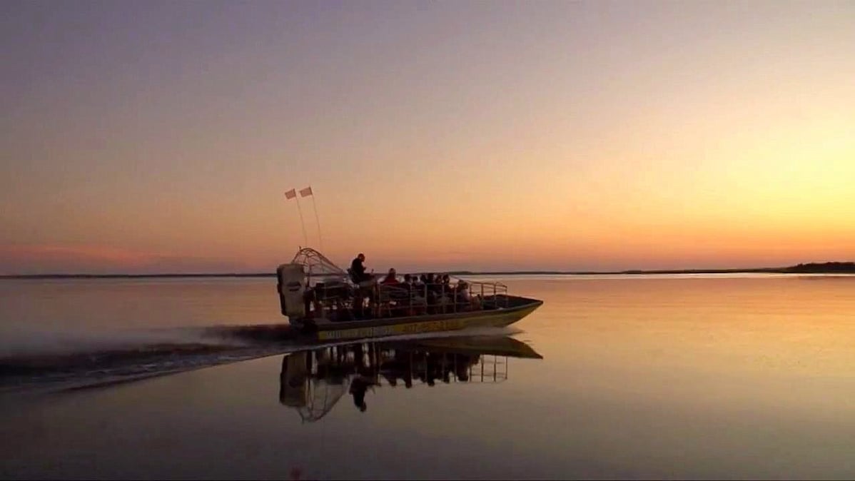 Why Have Your Bachelor Party at Wild Florida