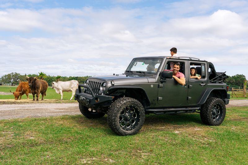 Insider's Guide to Wild Florida Drive-Thru Safari Park