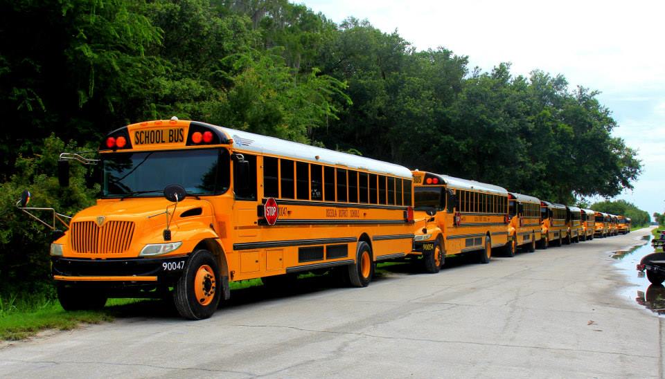 Why Have Your Field Trip at Wild Florida